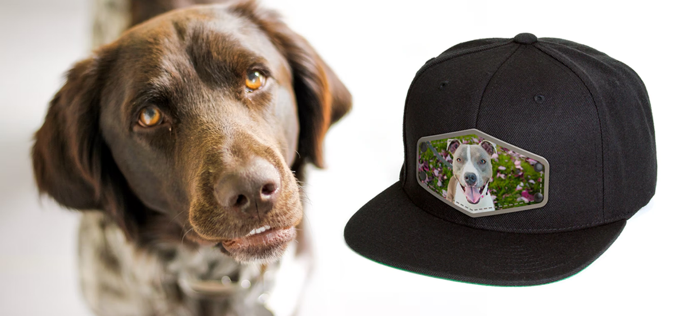10 Creative Custom Hat Ideas Featuring Your Beloved Pet — CityLocs