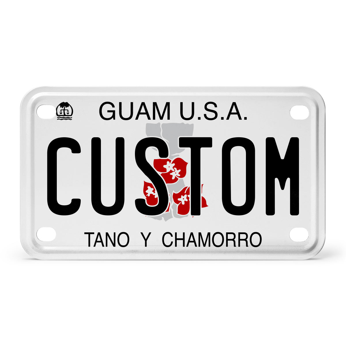 Custom mini license plate — CityLocs