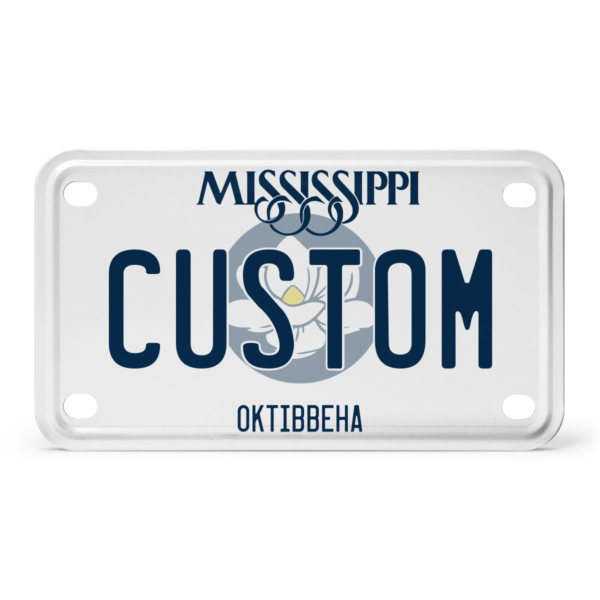Custom mini license plate — CityLocs