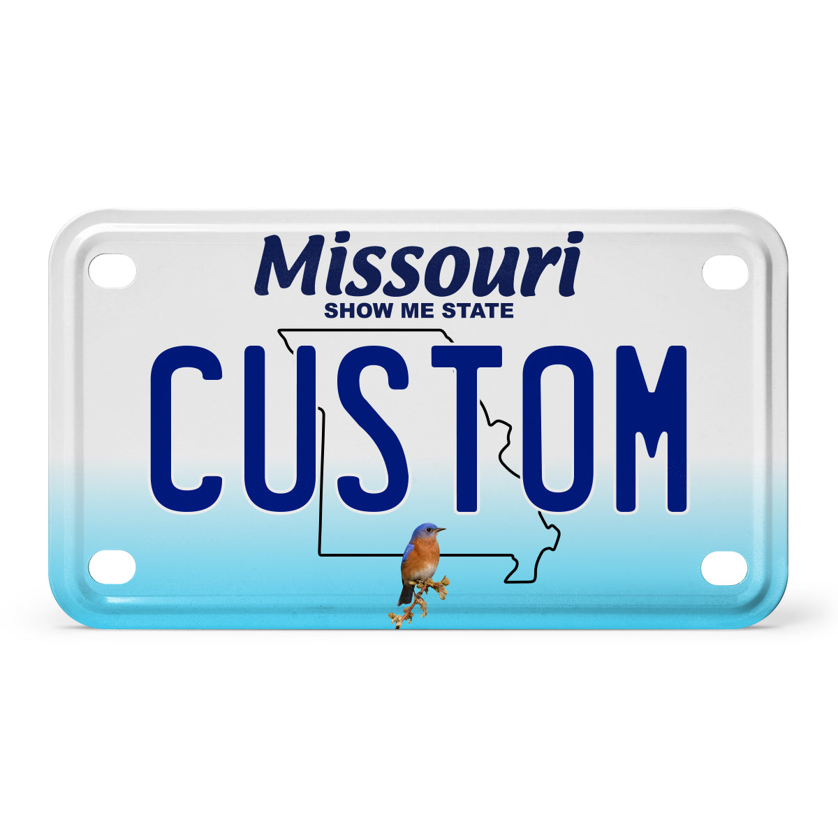 Custom mini license plate — CityLocs