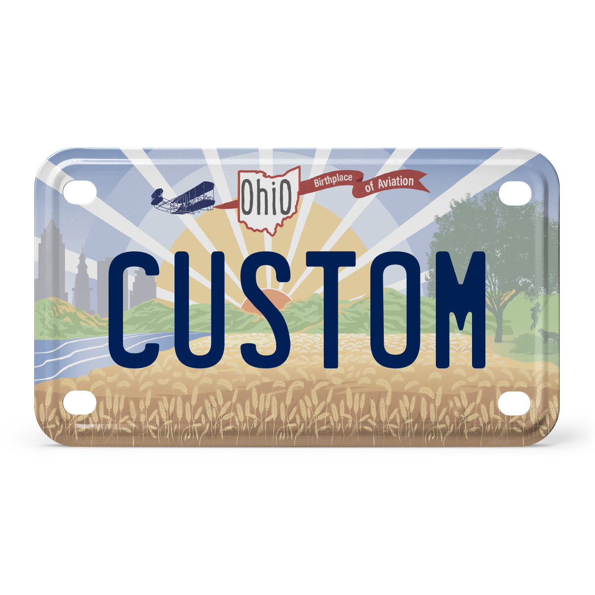 Custom mini license plate — CityLocs