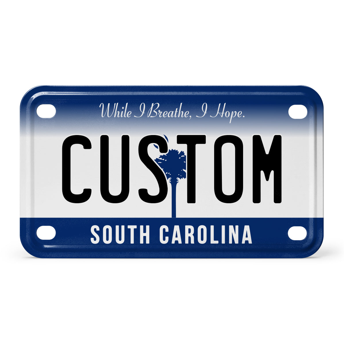Custom mini license plate — CityLocs